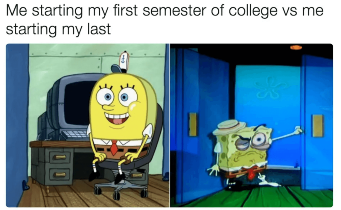 37 College Memes That Will Make You Miss Being A Student