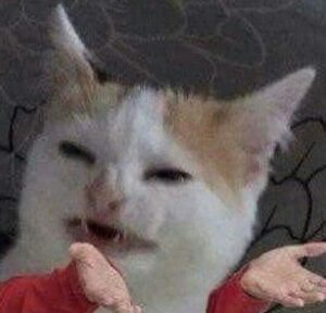 30 Meme Profile Picture Ideas To Catch People's Attention