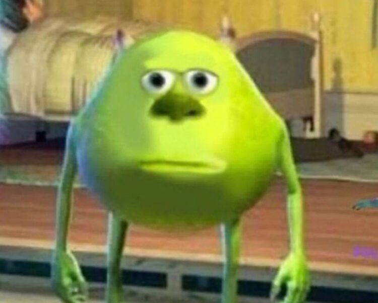 30 Meme Profile Picture Ideas To Catch People's Attention