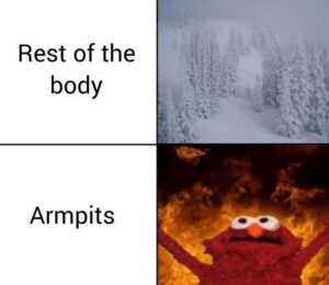 24 Elmo Fire Meme Pictures That Will Make The World Burn