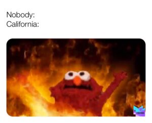 24 Elmo Fire Meme Pictures That Will Make The World Burn