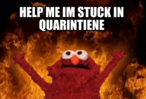 24 Elmo Fire Meme Pictures That Will Make The World Burn