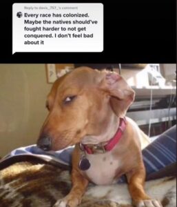 21 Dog Side Eye Meme That Will Make You Laugh