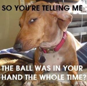 21 Dog Side Eye Meme That Will Make You Laugh