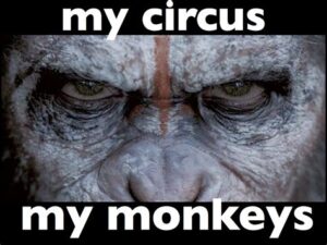 20 Not My Circus Not My Monkeys Meme Examples