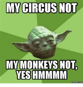 20 Not My Circus Not My Monkeys Meme Examples