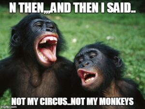20 Not My Circus Not My Monkeys Meme Examples