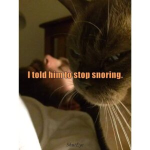 30 Funny Ways to Describe Snoring - Snoring Memes Collection