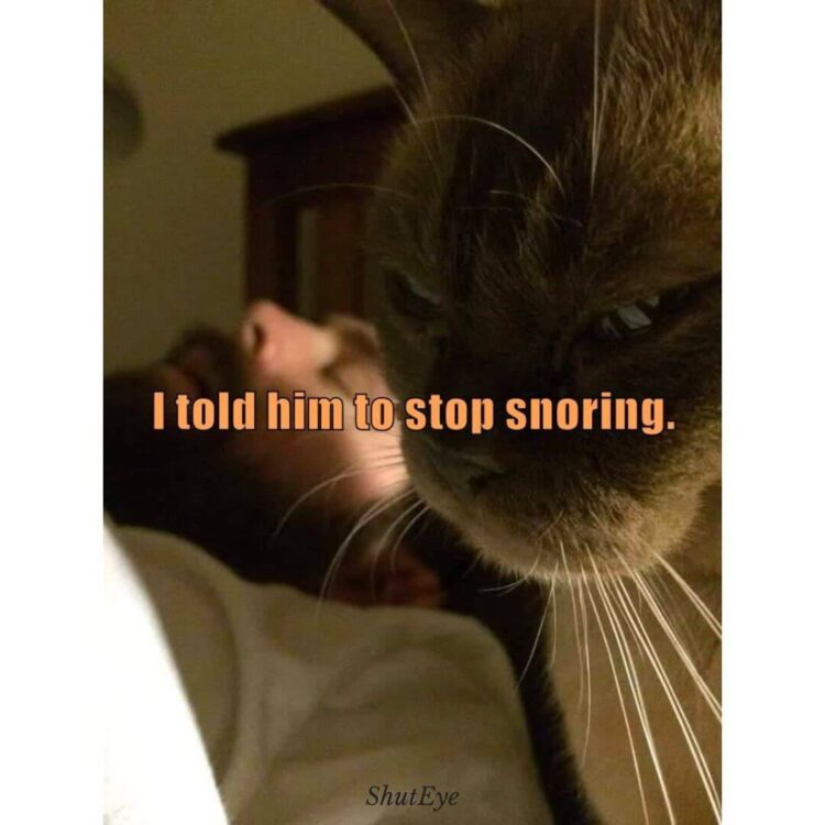 30 Funny Ways to Describe Snoring - Snoring Memes Collection