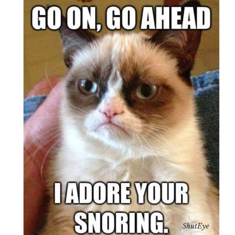 30 Funny Ways to Describe Snoring - Snoring Memes Collection