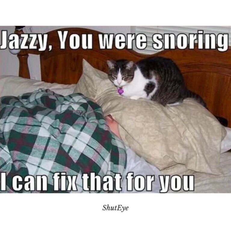 30 Funny Ways to Describe Snoring - Snoring Memes Collection