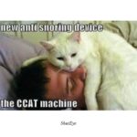 30 Funny Ways to Describe Snoring - Snoring Memes Collection