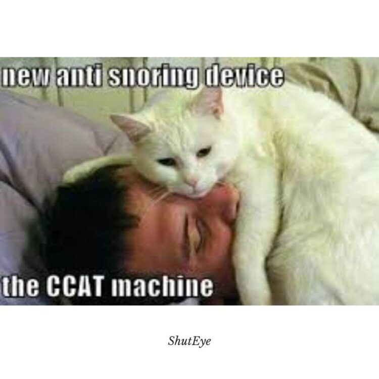 30 Funny Ways to Describe Snoring - Snoring Memes Collection
