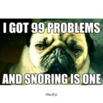 30 Funny Ways to Describe Snoring - Snoring Memes Collection