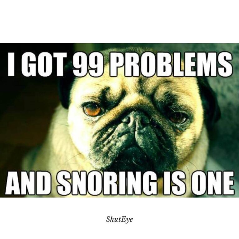 30 Funny Ways to Describe Snoring - Snoring Memes Collection