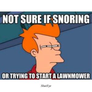 30 Funny Ways to Describe Snoring - Snoring Memes Collection