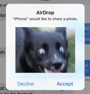 55 Funny Pictures to AirDrop
