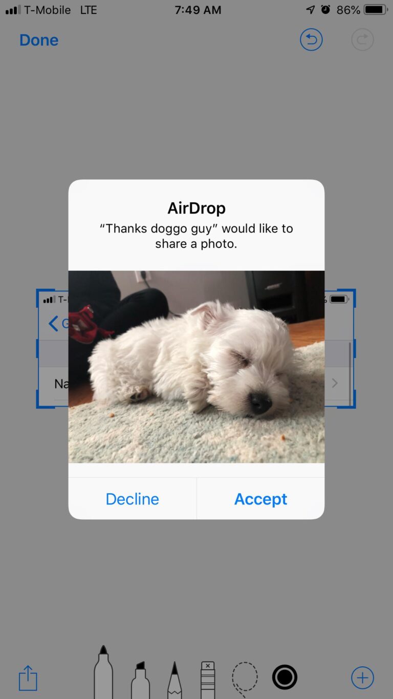 55 Funny Pictures to AirDrop
