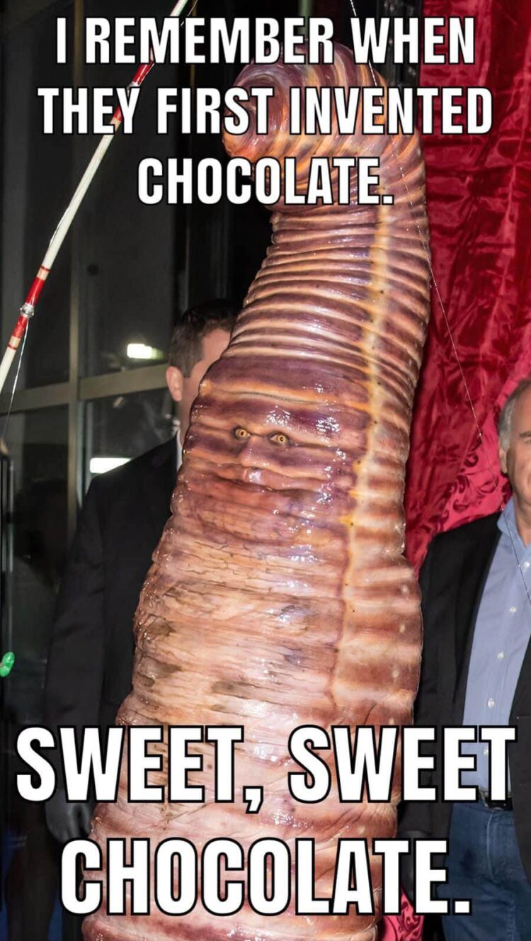 45 Funny Chocolate Memes That Will Have You Watering