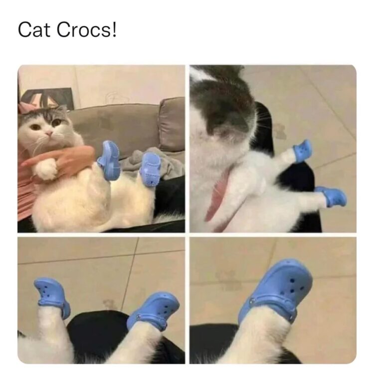 35 Funny Crocs Memes That Will Make You Never Wear Them Again