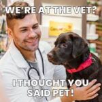 25 Funny Vet Memes That are Cuter then the Pets