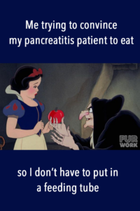 25 Funny Vet Memes That are Cuter then the Pets