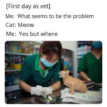 25 Funny Vet Memes That are Cuter then the Pets