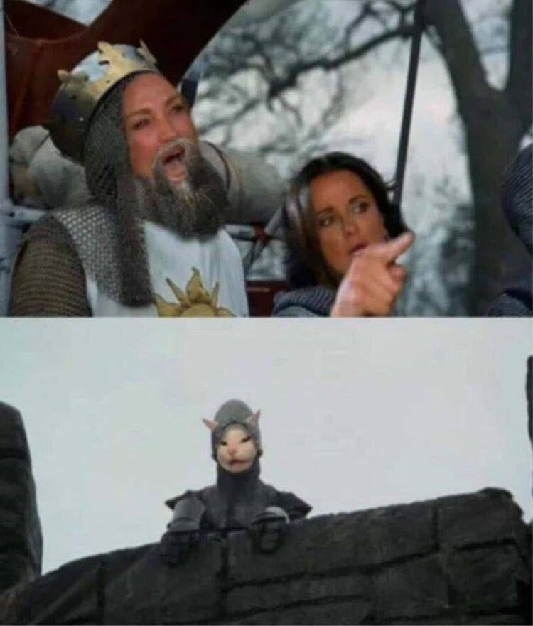 27 Monty Python and the Holy Grail Memes that are so Cult