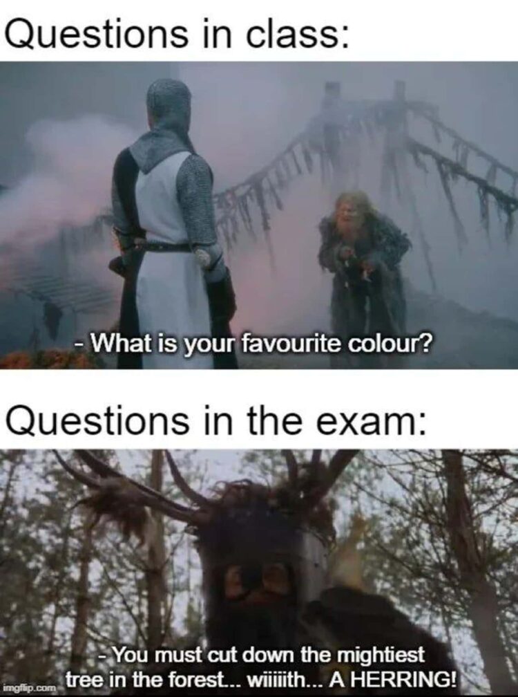 27 Monty Python and the Holy Grail Memes that are so Cult