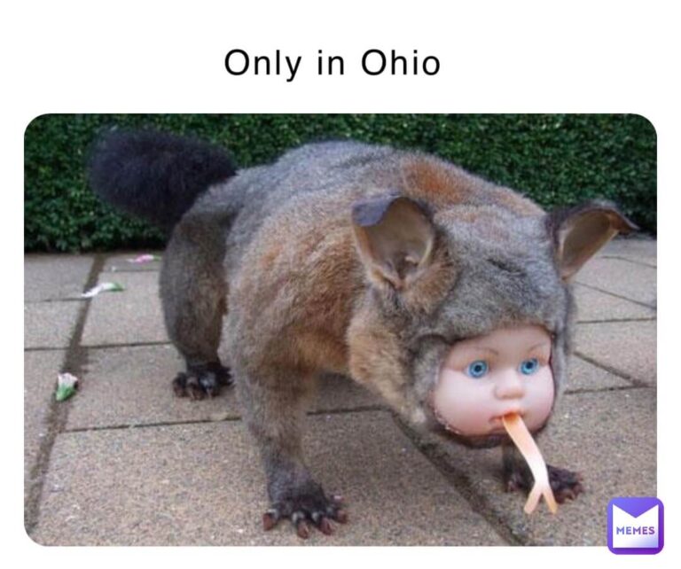 51 Best Ohio Memes That Will Make You Wish You Visited... Or Not