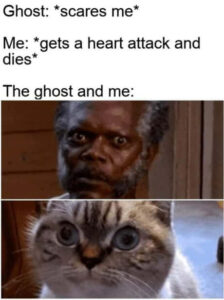 35 Samuel L Jackson Memes That You Shouldn't Miss