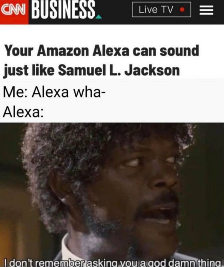 35 Samuel L Jackson Memes That You Shouldn't Miss