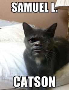 35 Samuel L Jackson Memes That You Shouldn't Miss