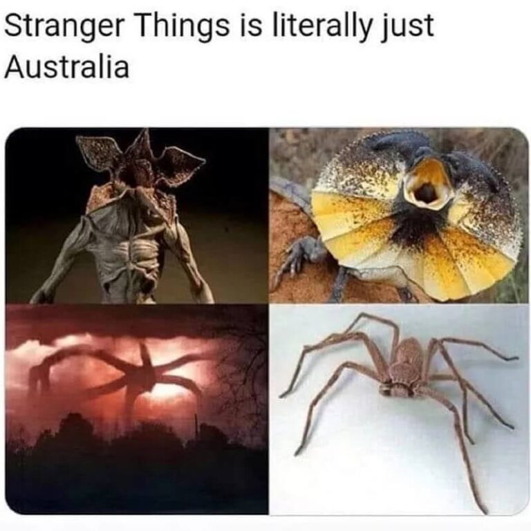 42 Funny Stranger Things Pictures That are Better Than the Show