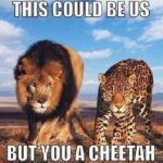 36 This Could Be Us Meme Pictures That Will Make You Think A Little