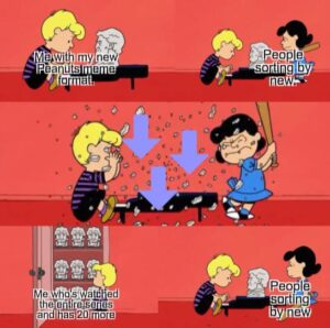 31 Funny and Adorable Peanuts Memes