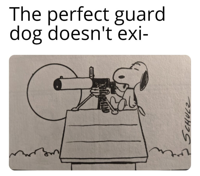 31 Funny and Adorable Peanuts Memes