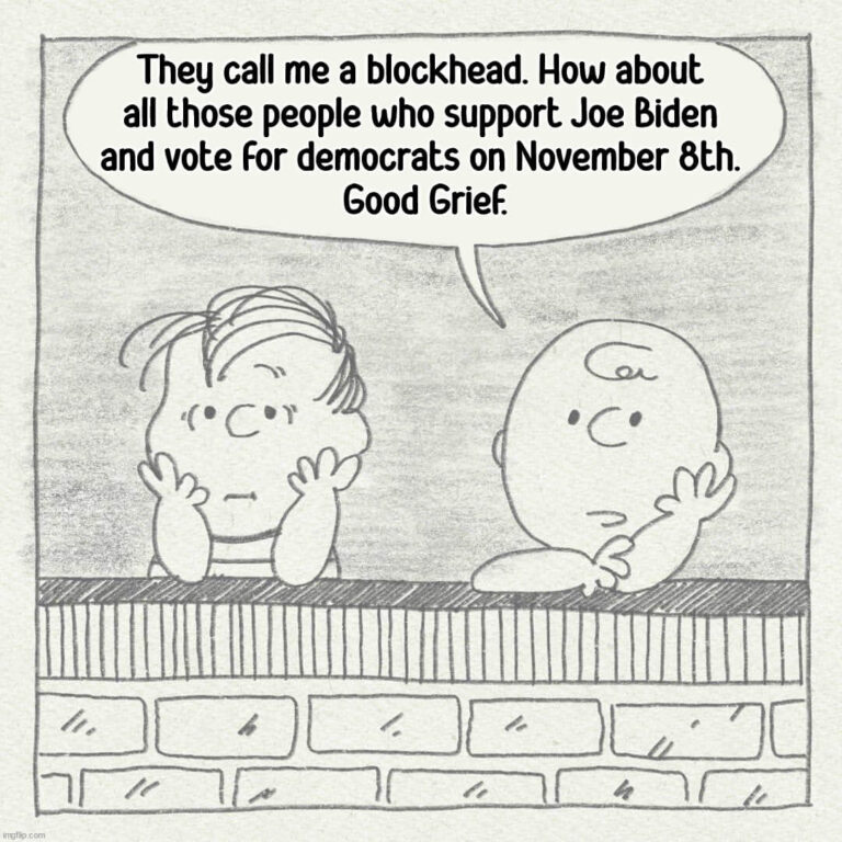 31 Funny and Adorable Peanuts Memes