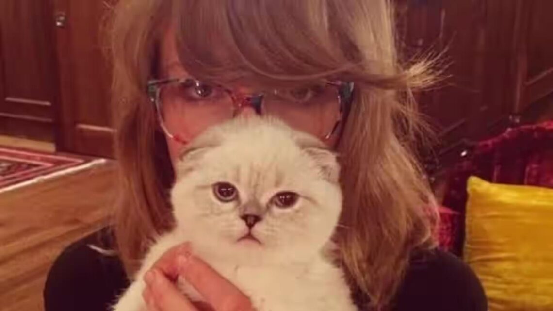 Taylor Swift's cat 'has a higher net worth' than boyfriend Travis Kelce