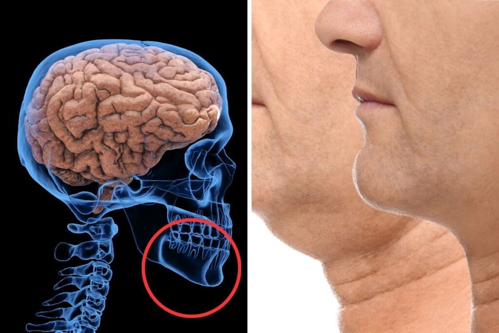 Jaw-Dropping Discovery. The Real Reason Humans Have Chins. It's Not ...