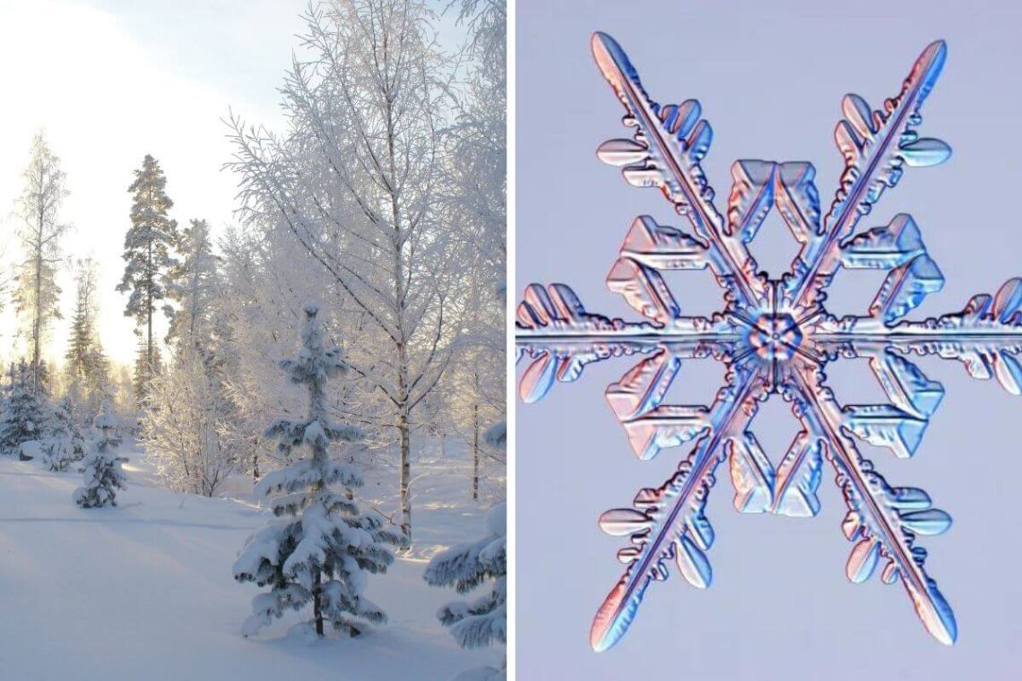 Biggest snowflake ever reported was the size of a large pizza
