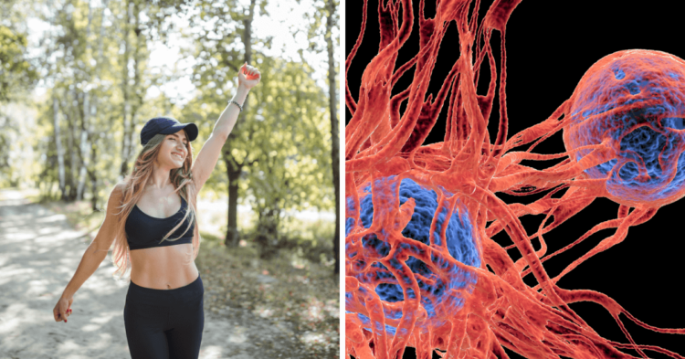 Cancer Breakthrough: Scientists Discover Cancer Breakthrough: Scientists Discover